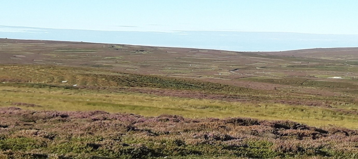 Nick Thomas: A Tale of Three Moors – epwales.org.uk