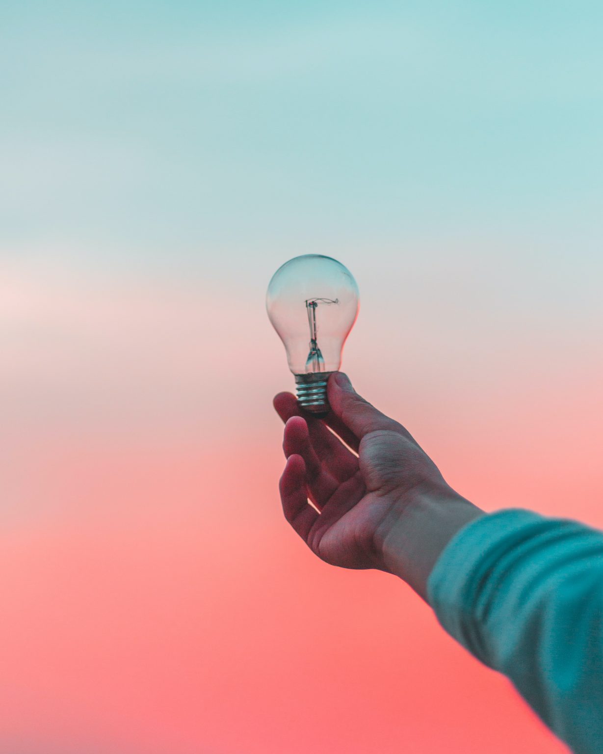 environment-platform-wales-unveils-new-curious-minds-careers-focused