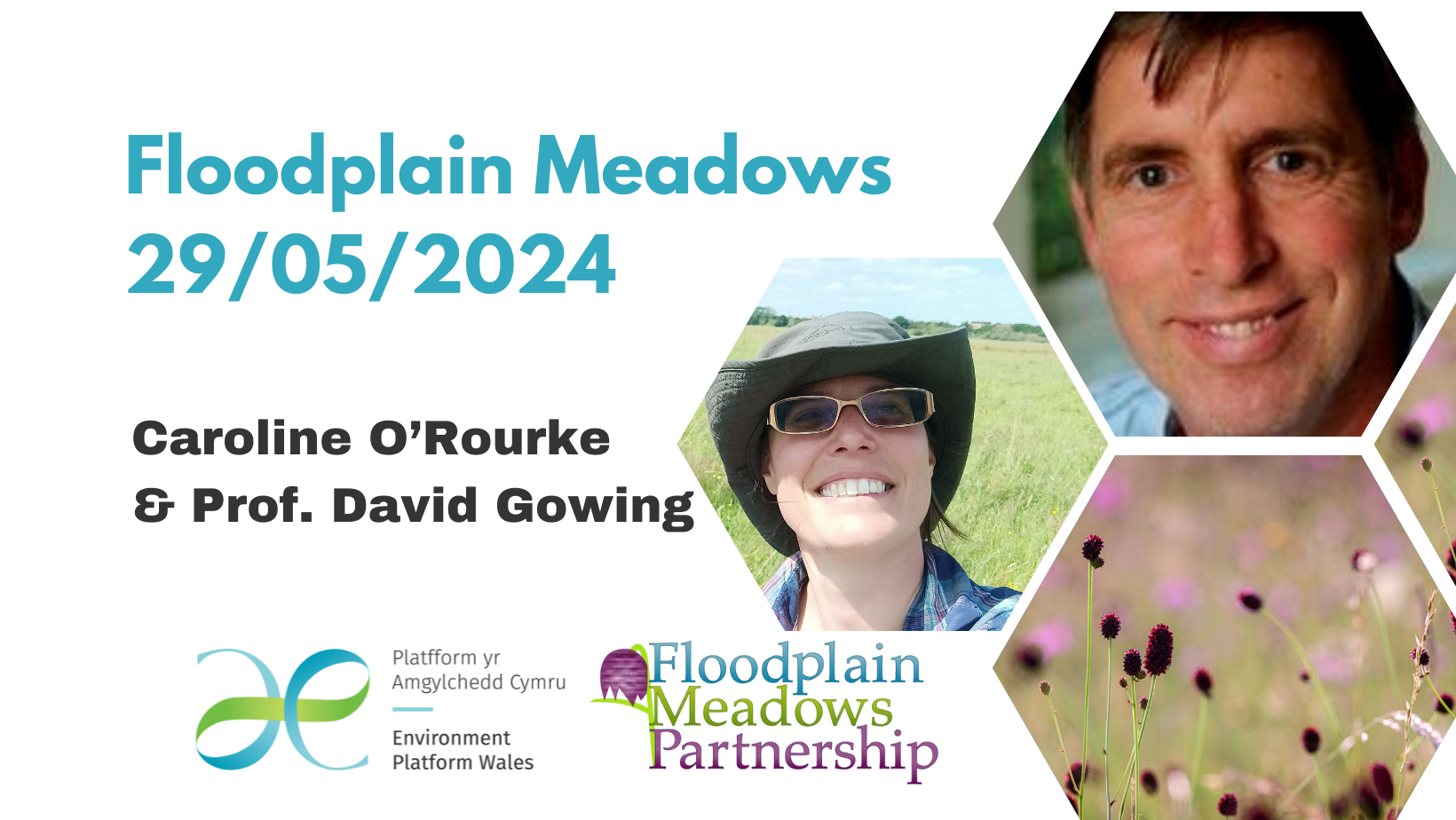 Floodplain Meadows Partnership