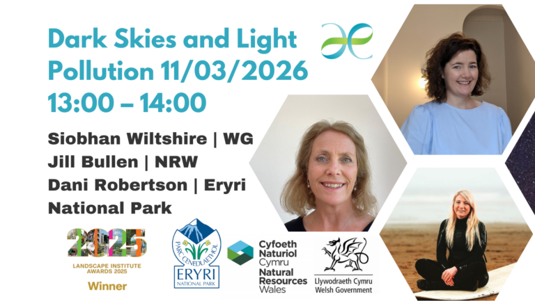 Insights Wales | Dark Skies and Light Pollution | Jill Bullen, Dani ...